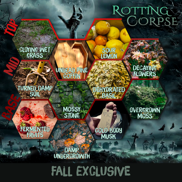 Rotting Corpse Horror Fragrance Oil | Halloween Scent – Aroma Retail